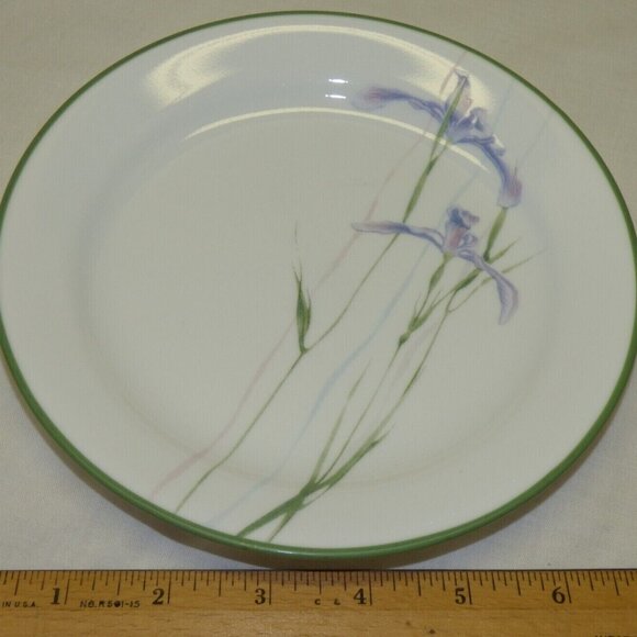 Corelle | Other | Vintage Corelle Iris Shadow Salad Plate 8 Pc Set Can ...